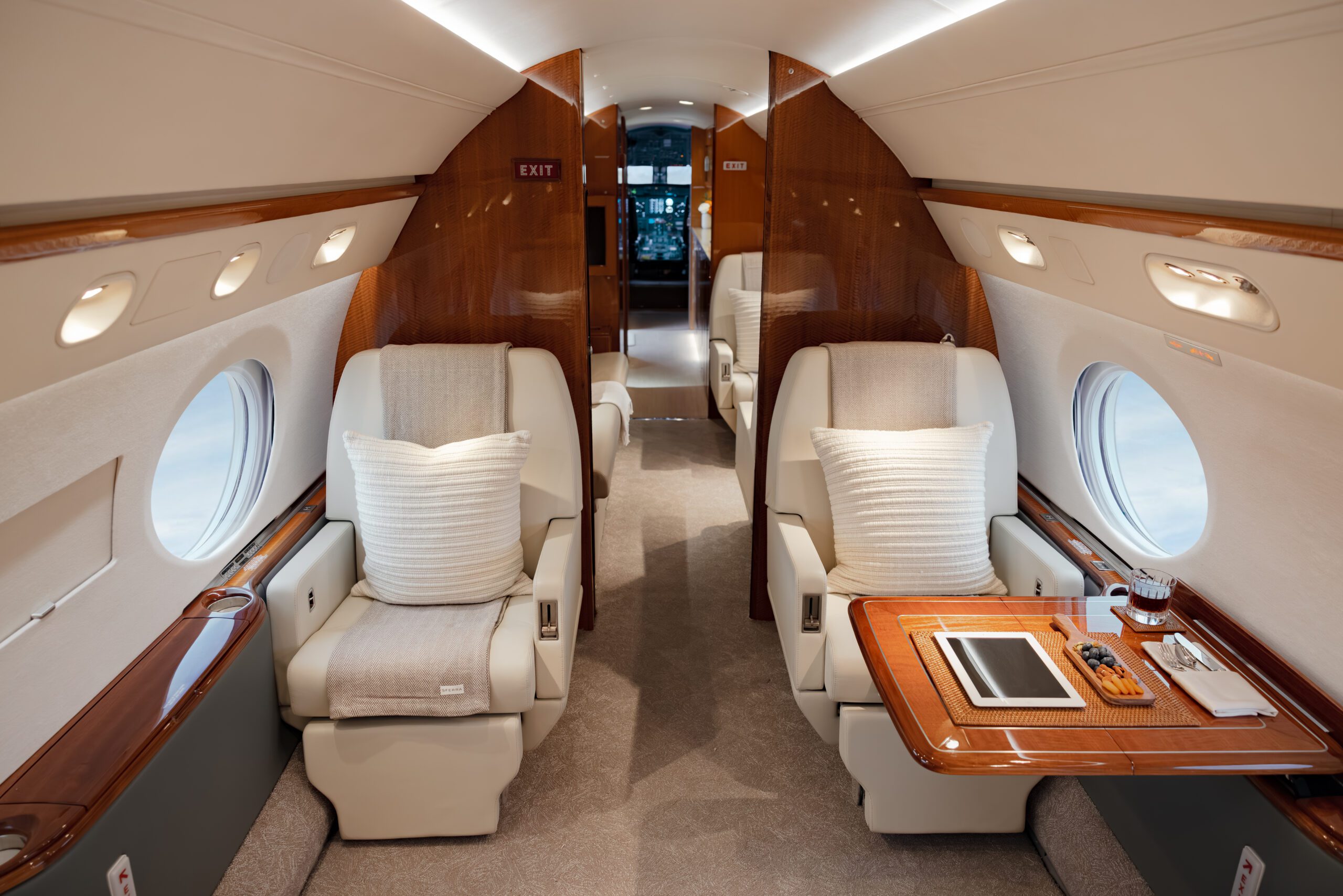Gulfstream GV N780W | Fly Alliance